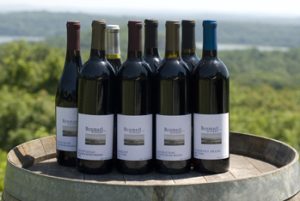 Wineries and Vineyards, Ulster County