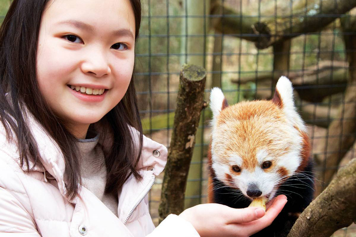 The Trevor Zoo Is an Educational Menagerie in Millbrook