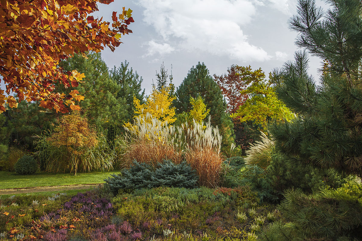 How to Create a Flourishing Fall Garden in the Hudson Valley