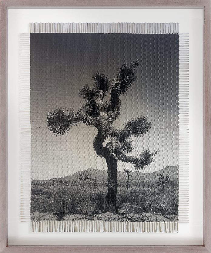 "Woven Together" Is a Heartwarming Artistic Tribute in Hudson