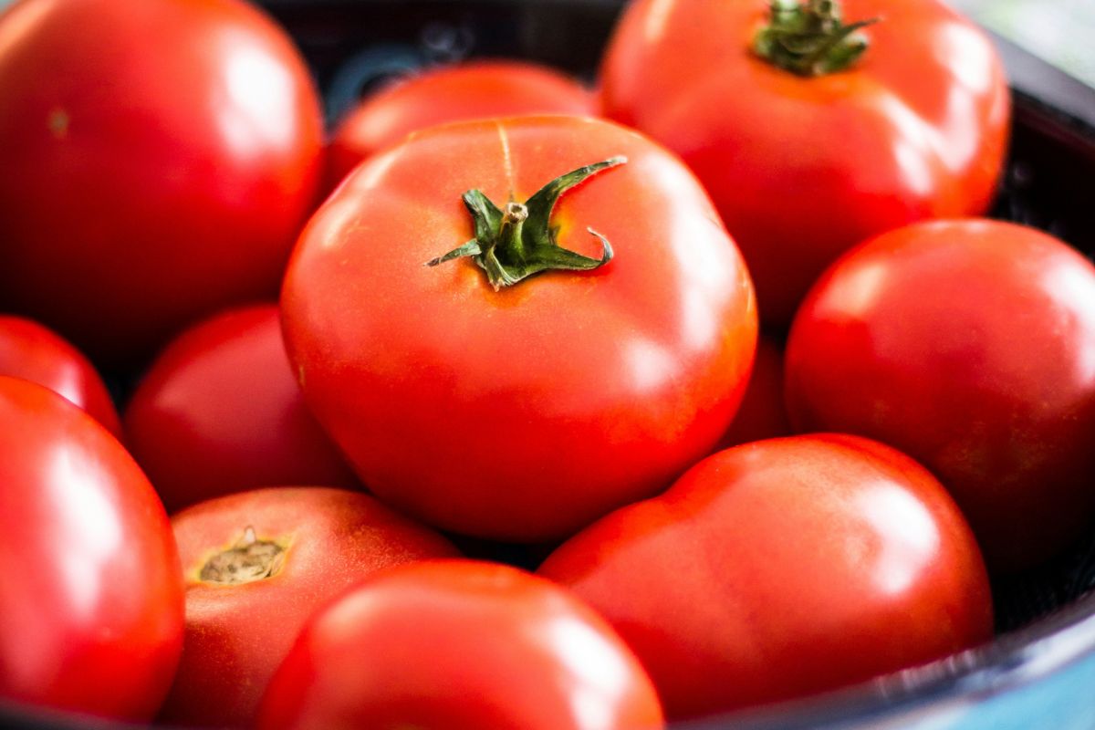 Pan Con Tomate Is the Perfect Back-Pocket Dinner Recipe