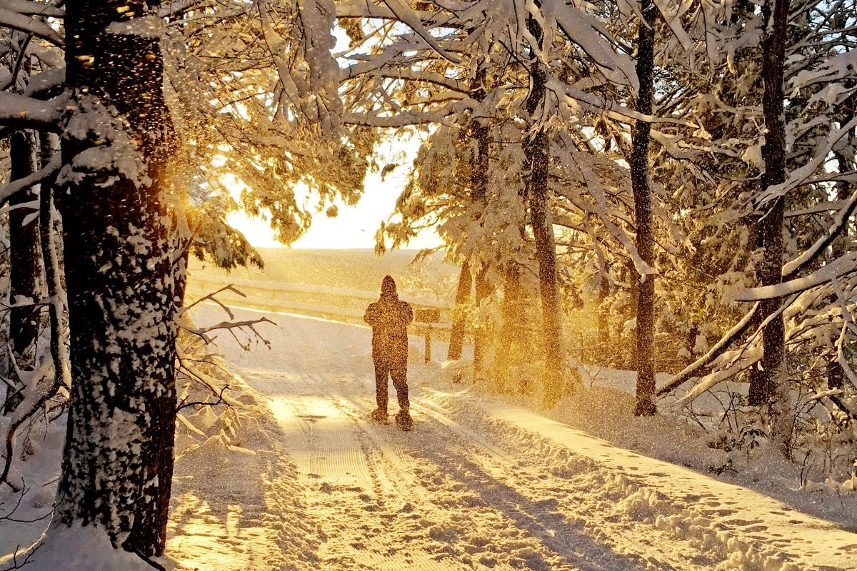 12 Places to Snowshoe in the Hudson Valley This Winter