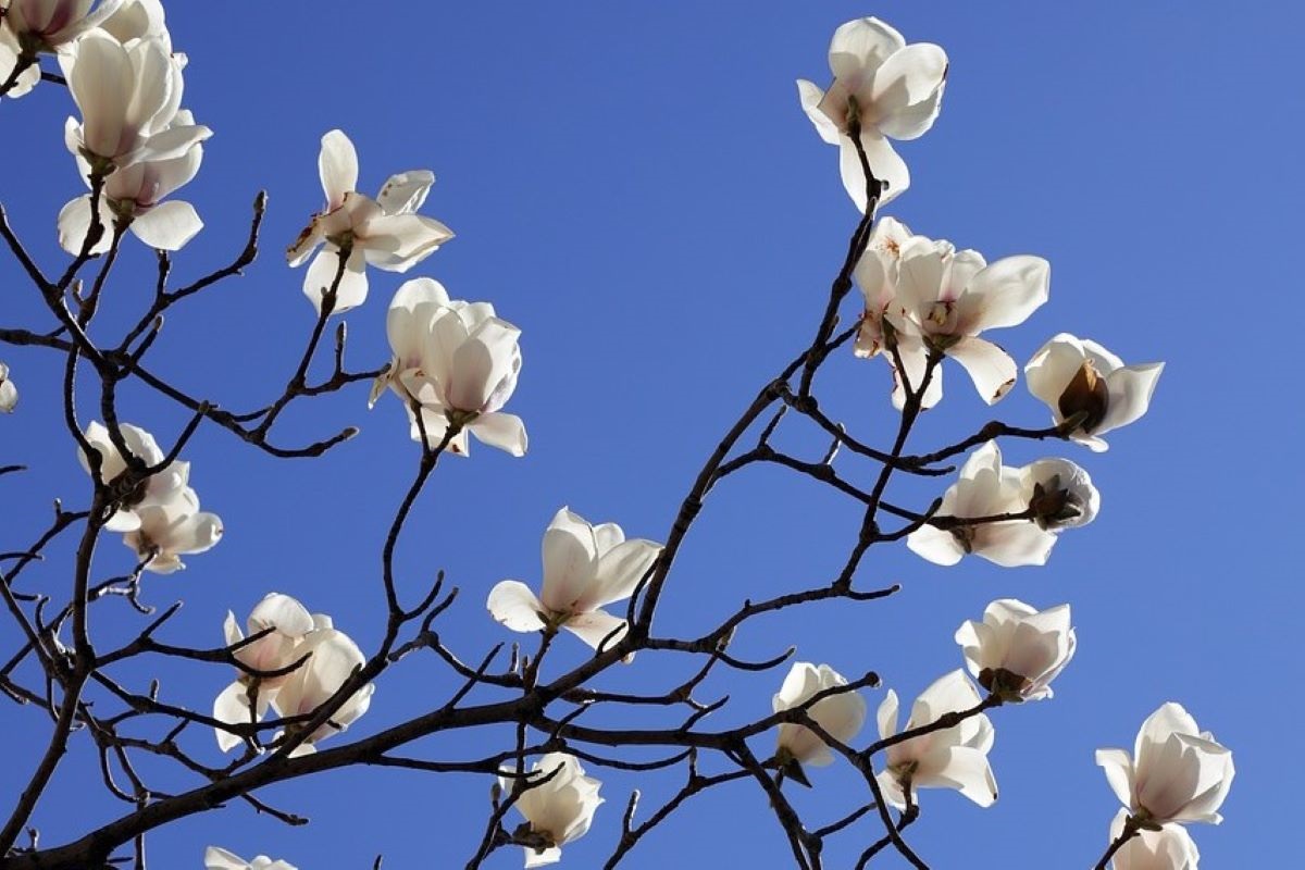 The Best Spring Craft Fairs & Festivals in the Hudson Valley