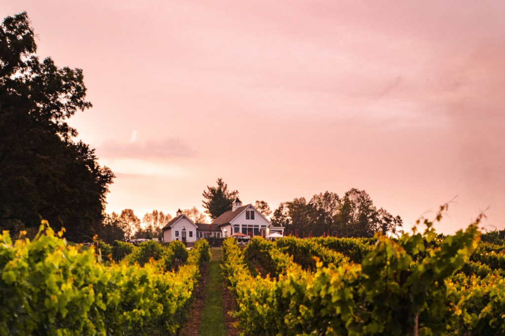 Best Hudson Valley Winery: Milea Estate Wins Again for Wine & Hospitality