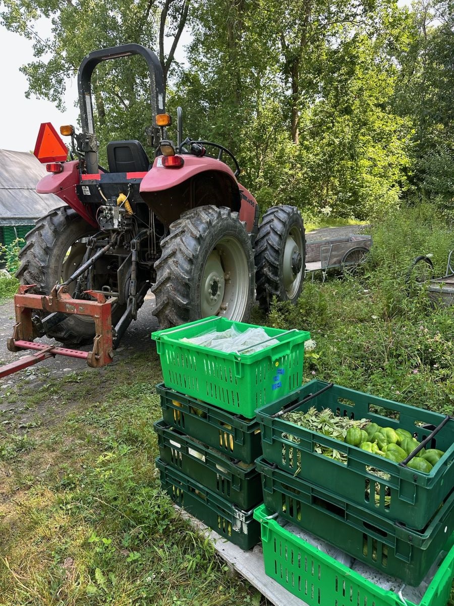 Long Table Harvest Feeds Communities With Local Farm Food