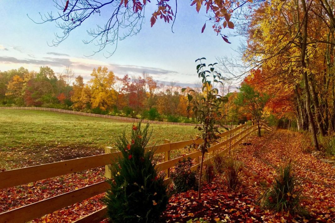 West Sand Lake’s June Farms to Star in Prime Original Series