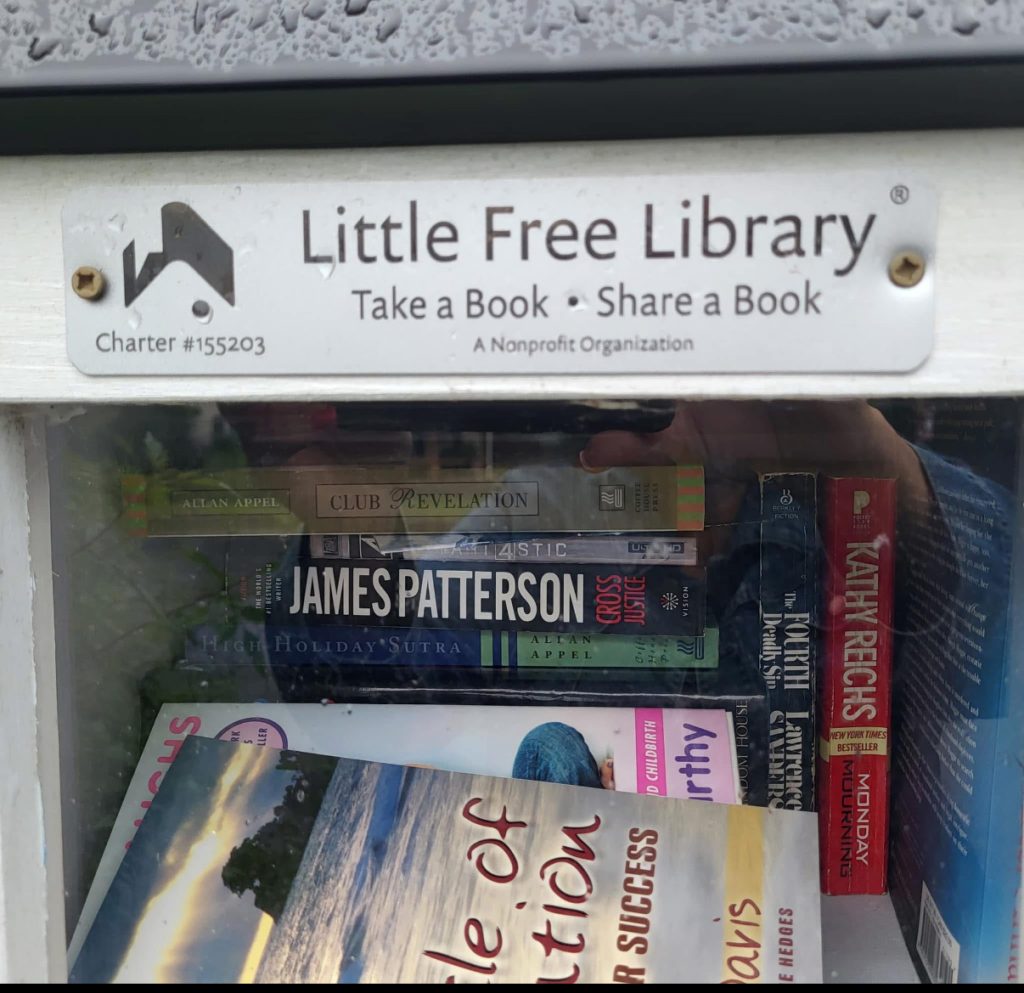 Little Free Libraries Across the Hudson Valley Offer Literary Finds