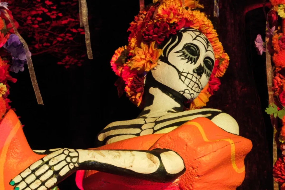 Mystic Moon Is a Spooktacular Experience in North Salem