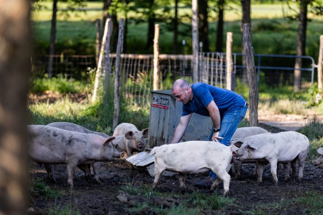 Terra Ridge Farm Embraces Regenerative Agriculture in New Paltz