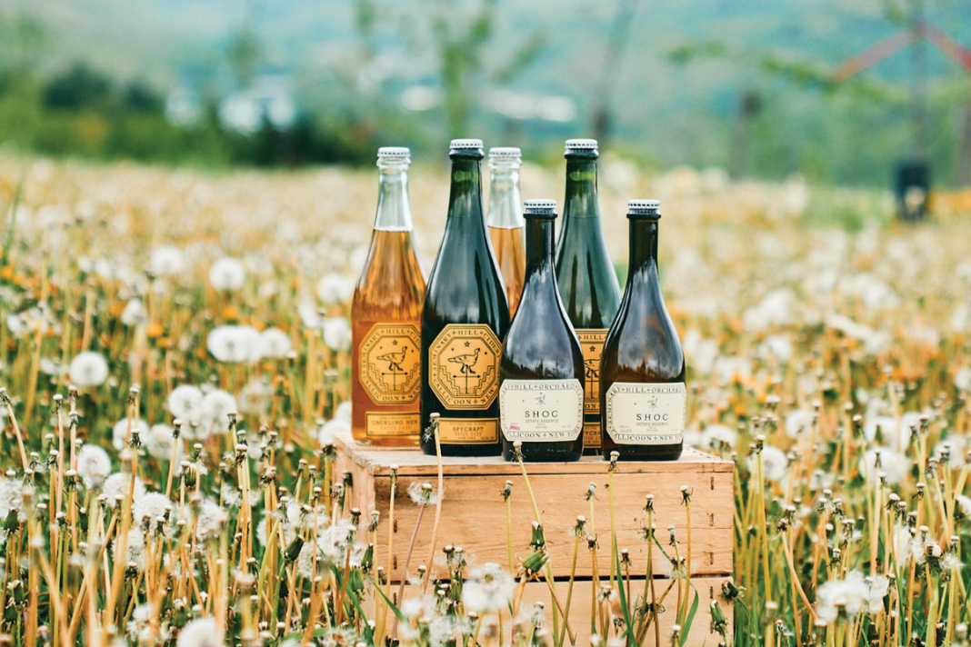 Where to Sip Hard Cider in the Hudson Valley