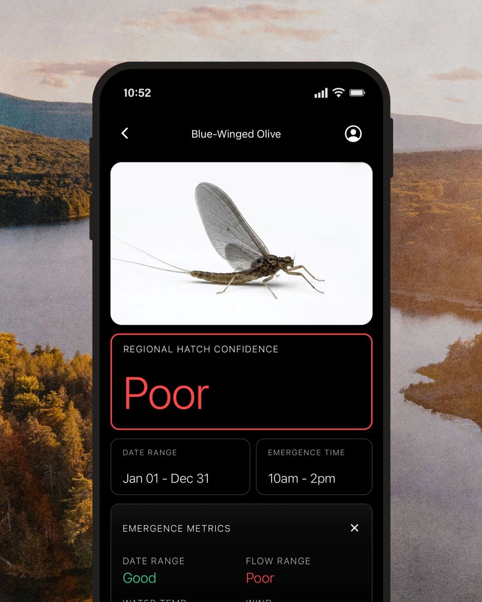 Catskills-Created SIFT App Revolutionizes Fly Fishing Nationwide
