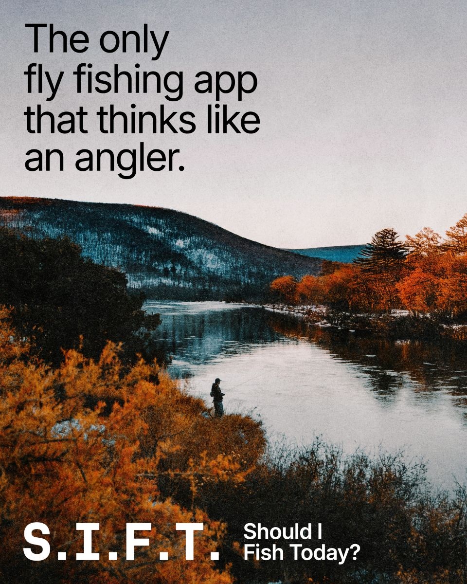 Catskills-Created SIFT App Revolutionizes Fly Fishing Nationwide
