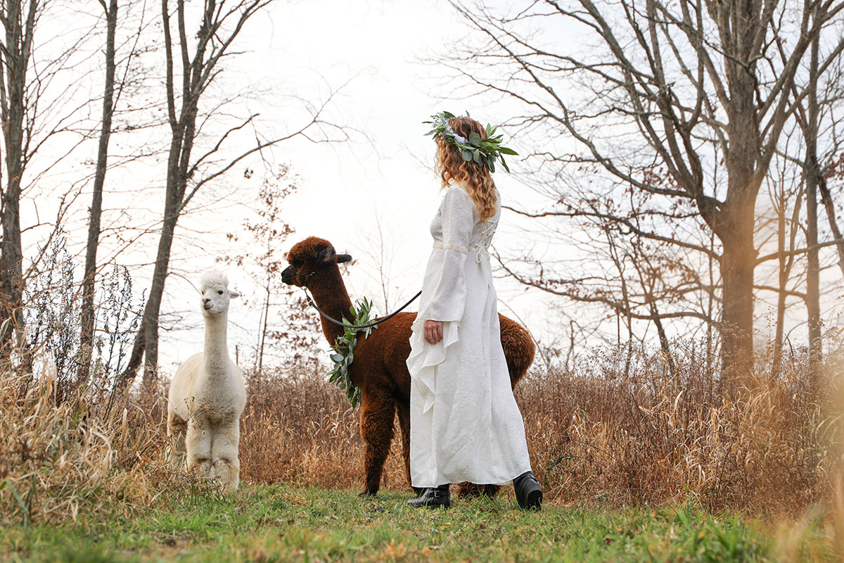 Plan a Picture-Perfect Photo Shoot This Orange County Alpaca Farm