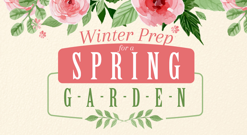 This Is How to Help Your Spring Garden Grow