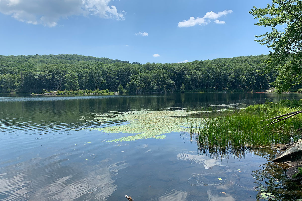 What to Do in Pawling: How to Spend a Day in Eastern Dutchess