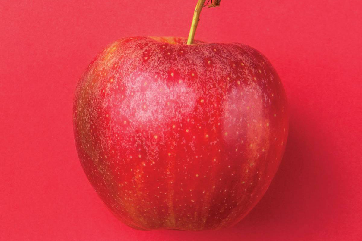 The Native Apple Varieties to Pick in the Hudson Valley