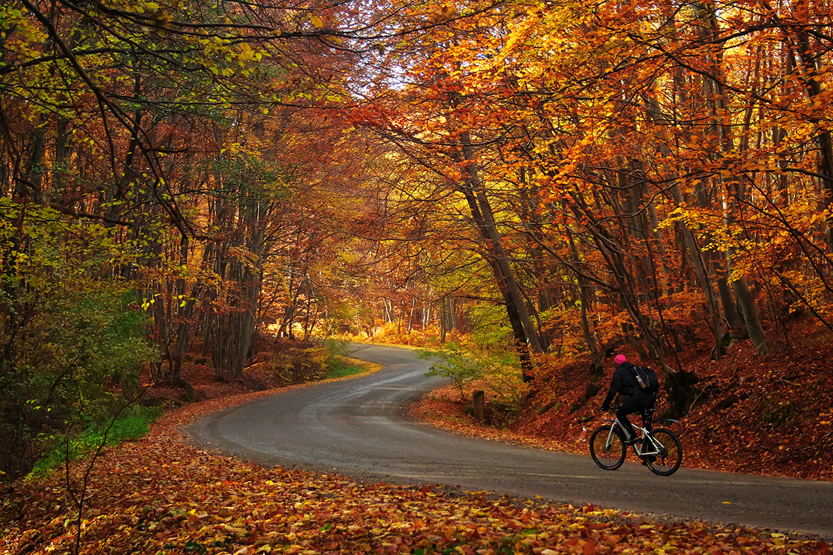 Explore the Empire State Trail With Gotham Bike Tours