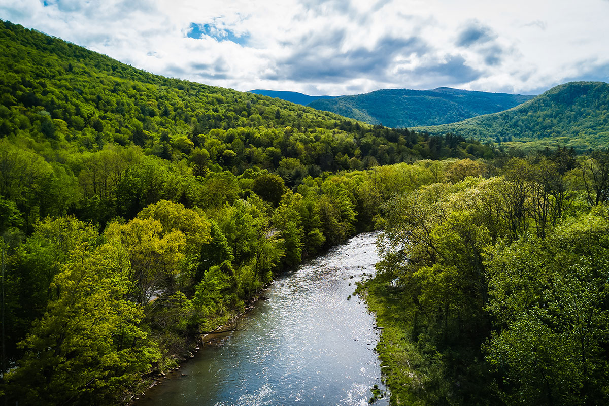 Area Attractions Summer 2022