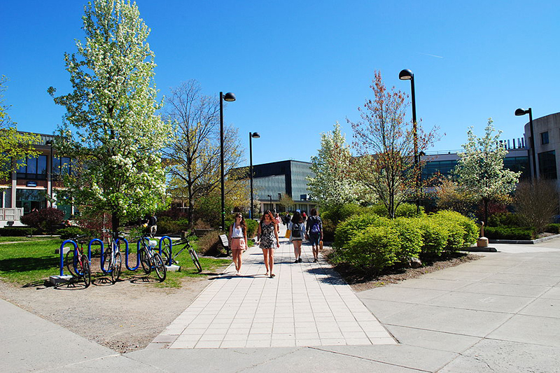An Incoming Student's Guide to SUNY New Paltz