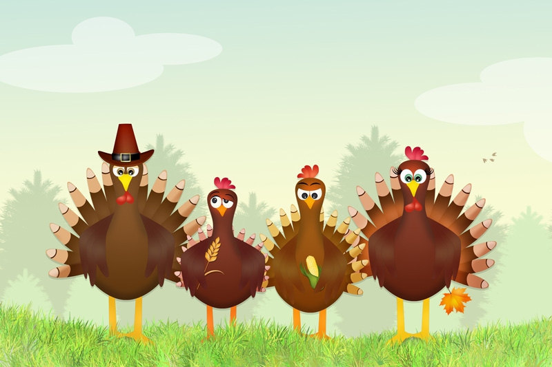 Do You Know What These 9 Common Turkey Terms Mean?
