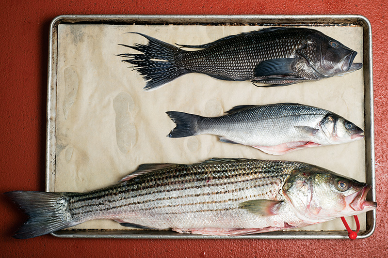 Fish: What to Look For and How to Cook It