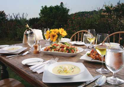 Fresh Air Feasting