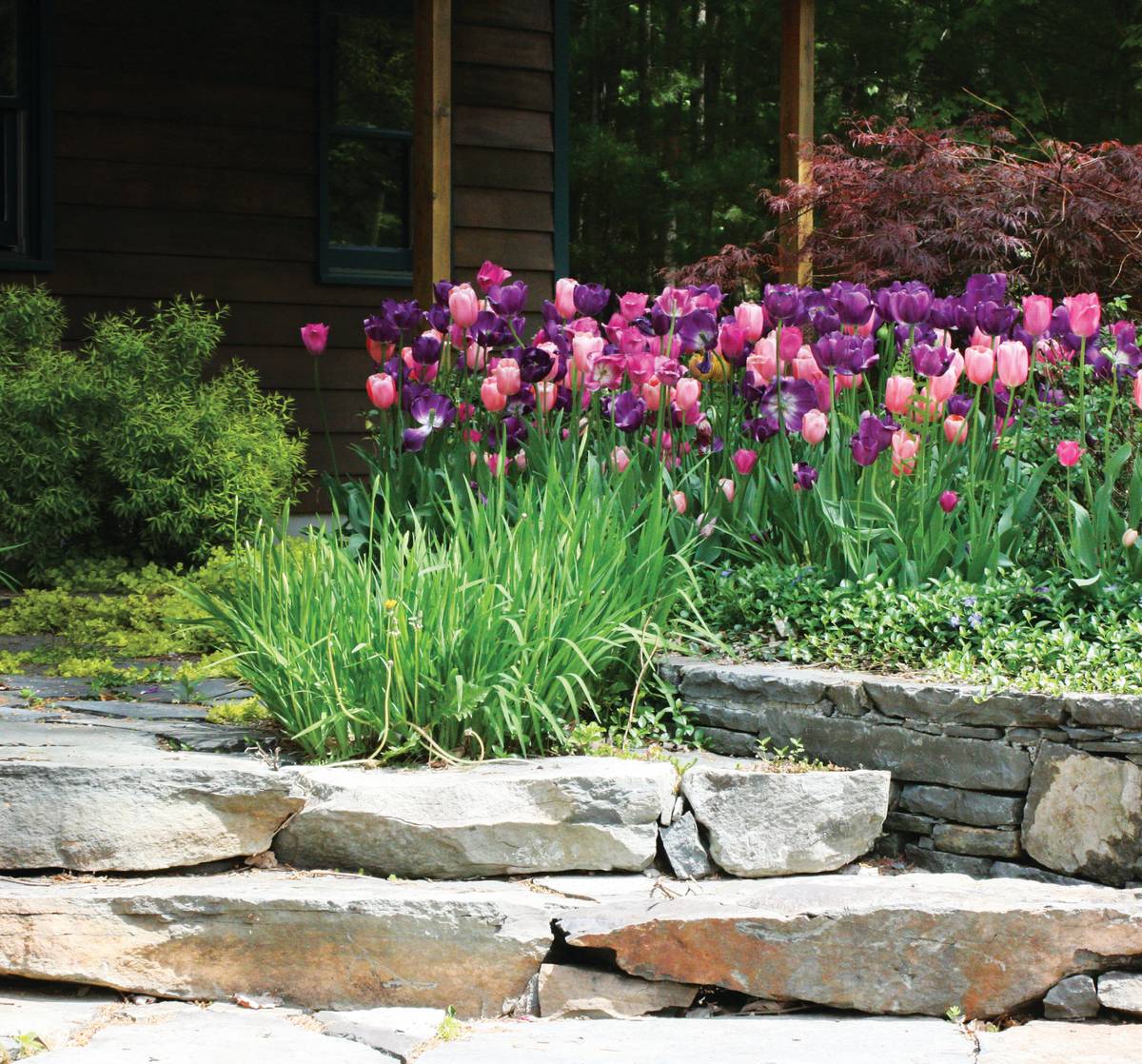 Your Expert Guide to Spring Gardening in the Hudson Valley