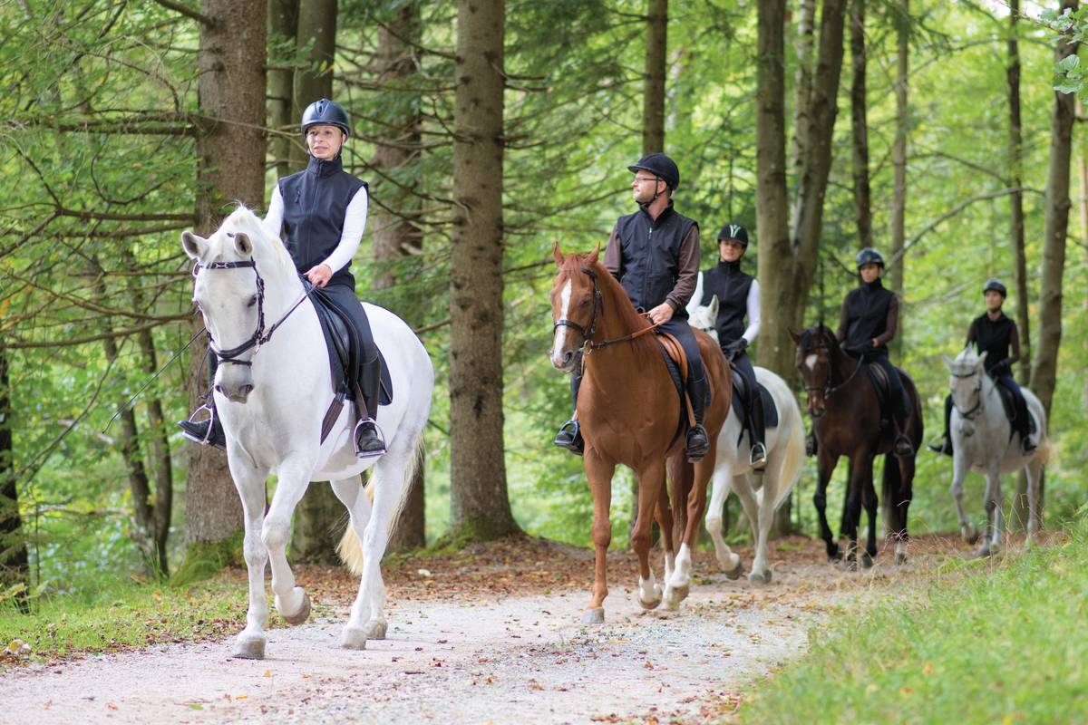 An Equestrian's Guide to Horseback Riding in the Hudson Valley