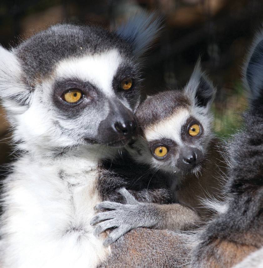 The Trevor Zoo Is an Educational Menagerie in Millbrook