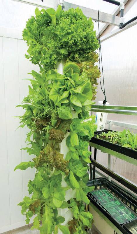 Vertical Farming Takes Root in the Hudson Valley