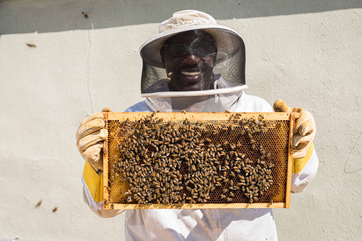 Meet the NYPD's Official Beekeeper From Middletown