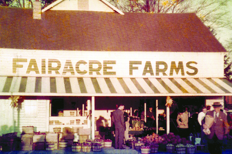 Becoming Adams: The History of the Hudson Valley's Iconic Grocery Store