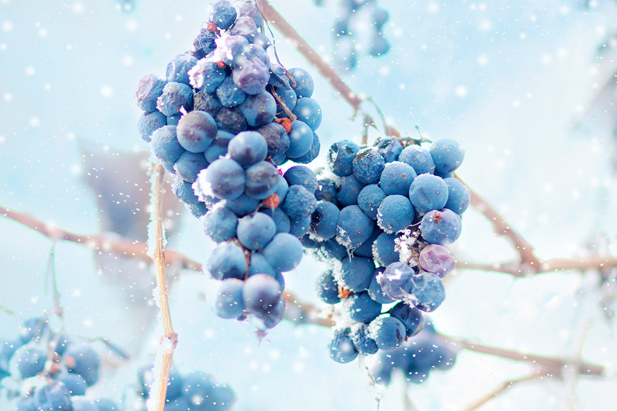 5 New York Wines Perfect for Winter Sipping in the Hudson Valley