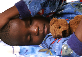 Transitional Objects (Like Safety Blankets and Stuffed Animals) Help ...