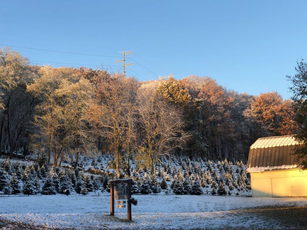 Meet the Farmer: Stephen Abel, Abel’s Trees