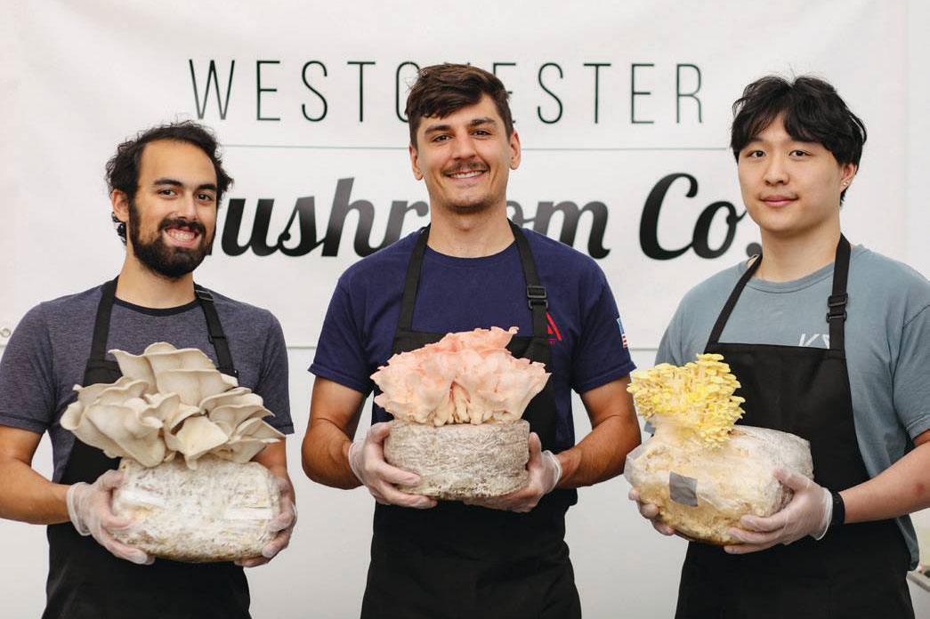 Westchester Mushroom Company Is a Go-To for Local 'Shrooms